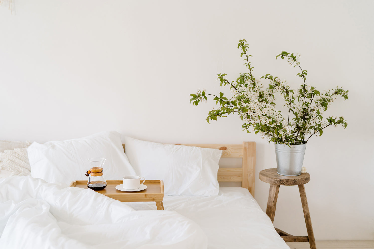 Snug and Cozy Life